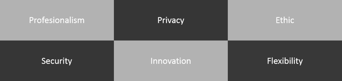 Mission, vision and values – Analiza Lab